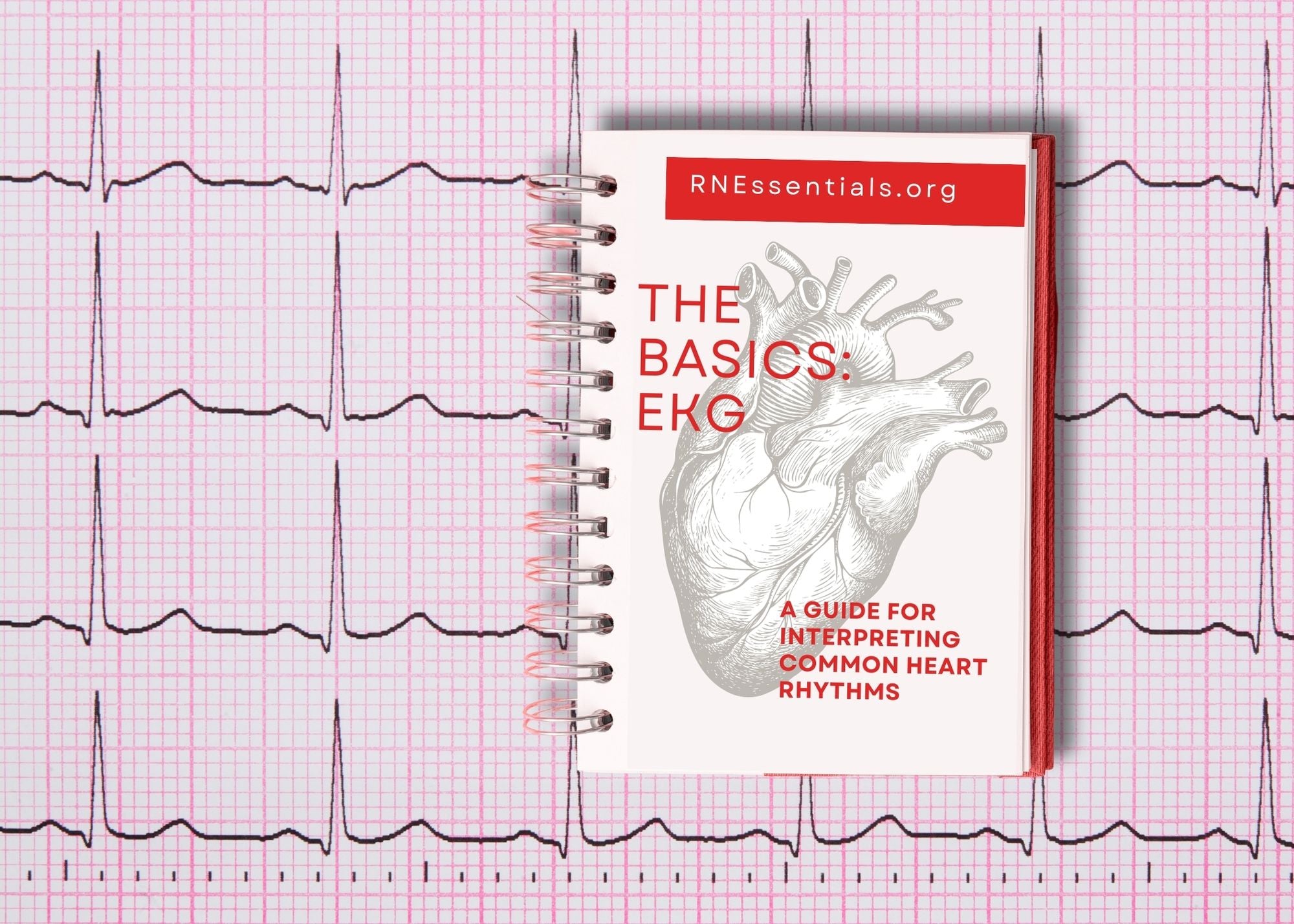 The Basics: EKG Interpretation – RNessentials