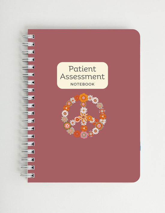 Patient Assessment Nurse Report Notebook – RNessentials