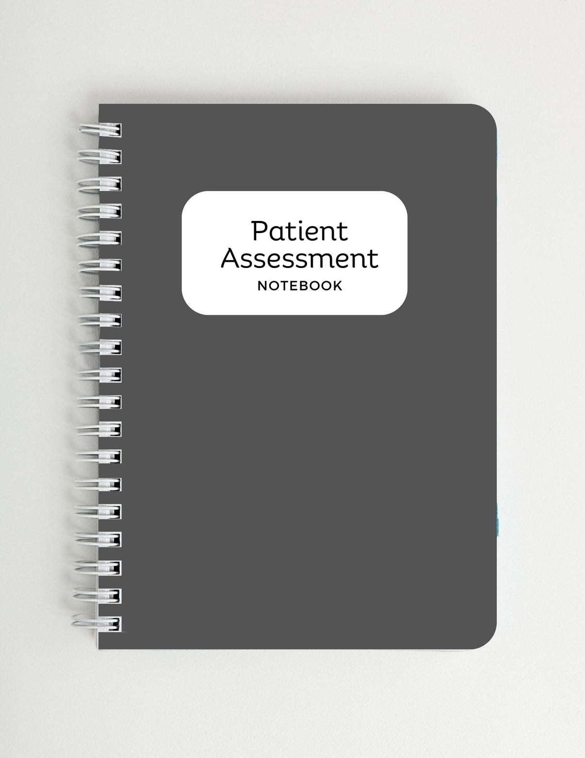 Patient Assessment Nurse Report Notebook – RNessentials